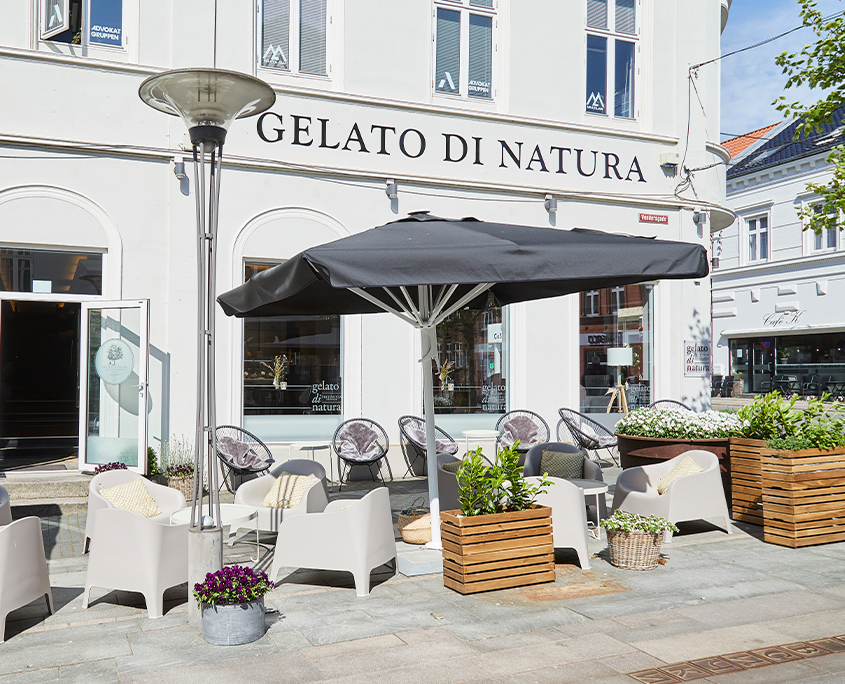 Gelato di Natura - Ricoh | AVC A/S